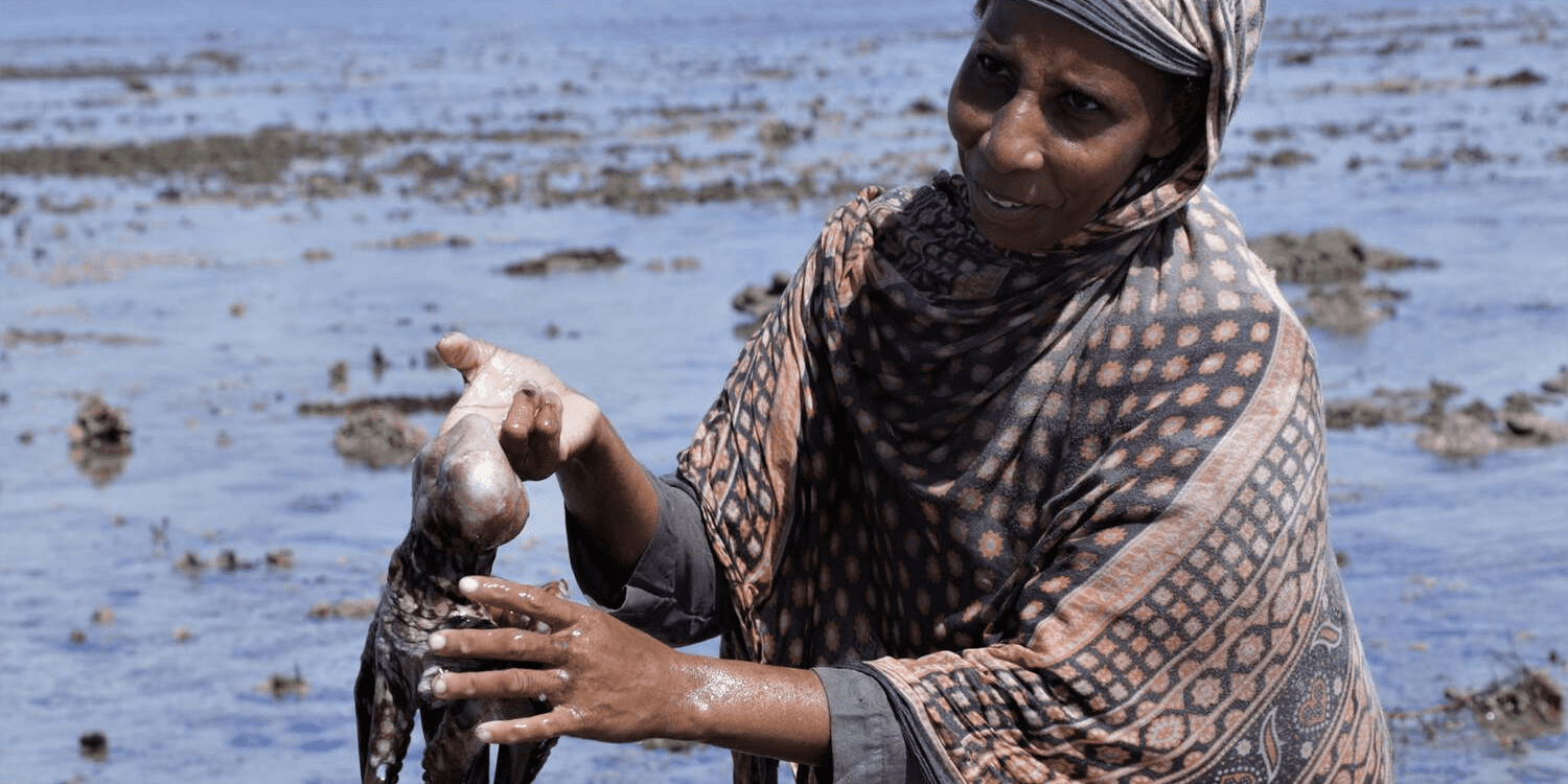 Pate Marine Community Conservancy (PMCC) – Sustainable Management ...